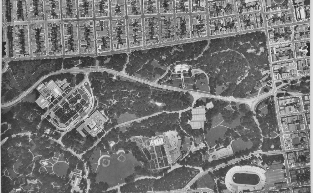 JFK Drive in Golden Gate Park Was Historically a Car-Free Corridor